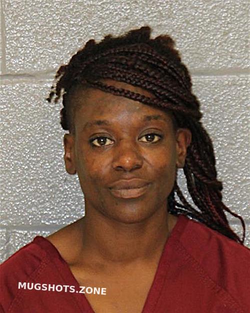LINDSEY LISA ILENE 04/12/2025 - Mecklenburg County Mugshots Zone