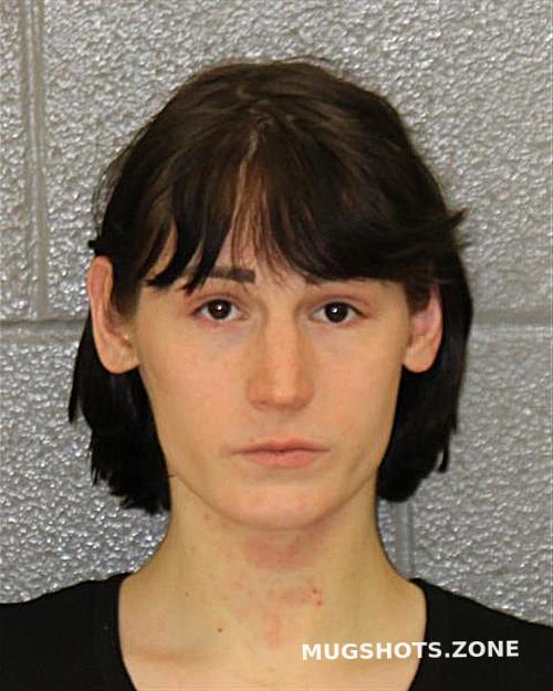 STOLTENBERG JOSHUA MICHAEL 04/21/2025 - Mecklenburg County Mugshots Zone