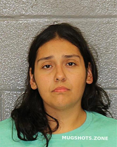 REYES LIZ MAGUE 05/04/2025 - Mecklenburg County Mugshots Zone