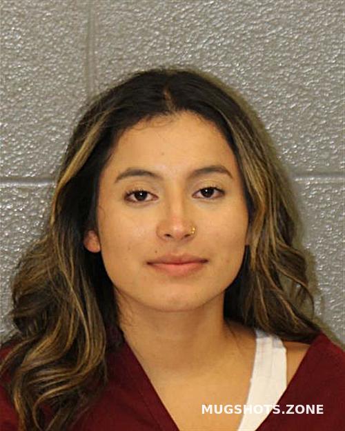 PORTILLO YVETTE KARINA 06/29/2025 - Mecklenburg County Mugshots Zone