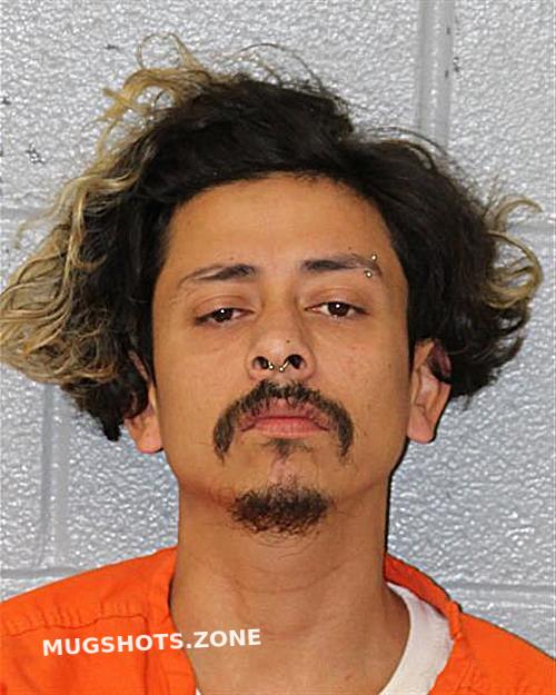 PALMA ALEX ODER 08/26/2025 - Mecklenburg County Mugshots Zone