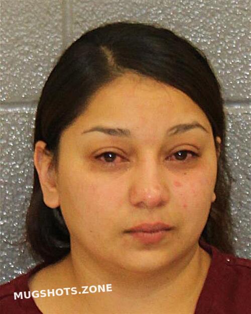 ZAPATA AMY ABIGAIL 11/12/2025 - Mecklenburg County Mugshots Zone