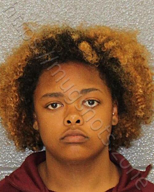 RAGSTON MADISON MYANGEL 04/06/2026 - Mecklenburg County Mugshots Zone
