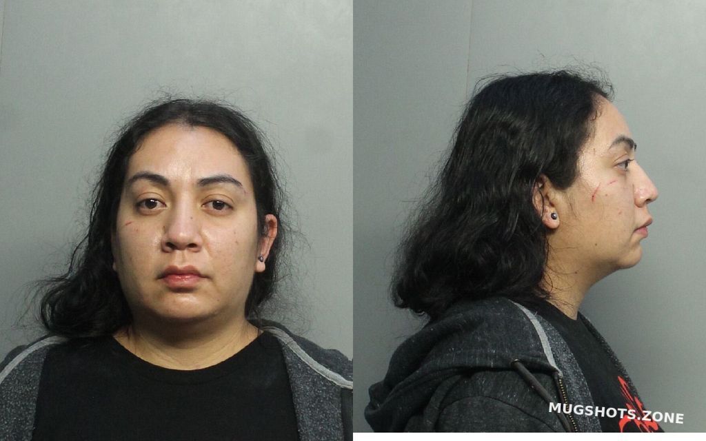 JAIMES ANA 01/11/2021 - Miami-Dade County Mugshots Zone