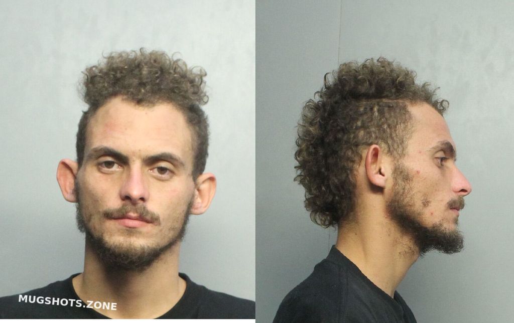 RODRIGUEZ ARIEL 01/15/2021 - Miami-Dade County Mugshots Zone