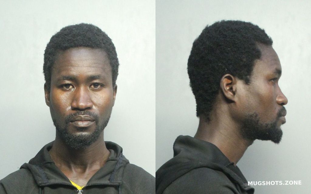 SIBY SALIYA 01/20/2021 - Miami-Dade County Mugshots Zone