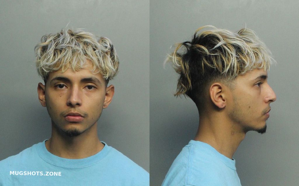 GONZALEZ JUSTIN ANGEL 01/21/2021 - Miami-Dade County Mugshots Zone