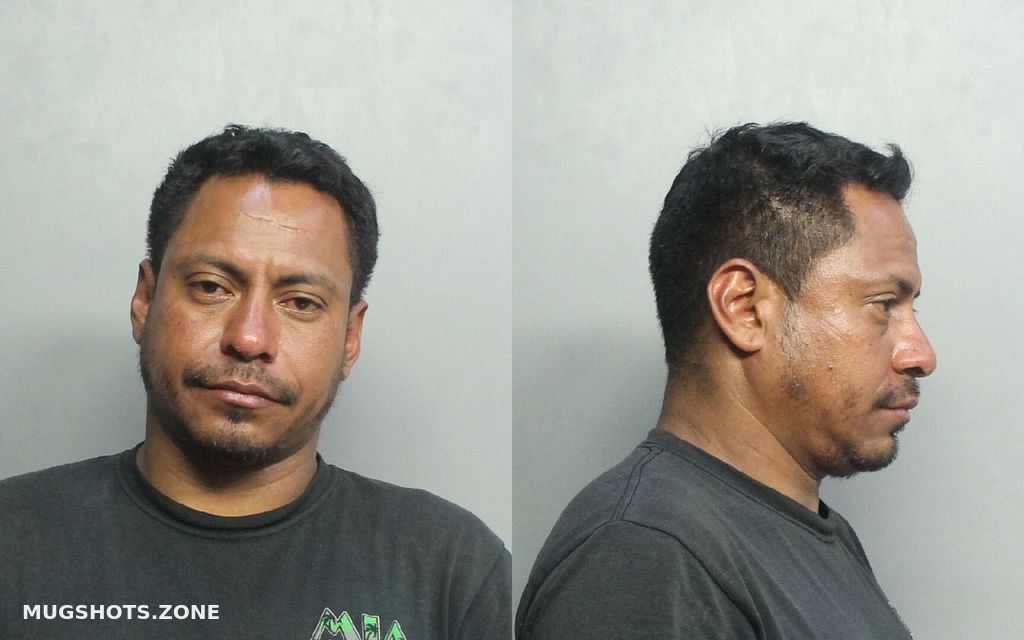 HERRERA HAROLD 01/24/2021 - Miami-Dade County Mugshots Zone