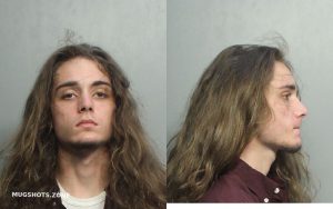 ROE NATHAN OCEAN 01/28/2021 - Miami-Dade County Mugshots Zone