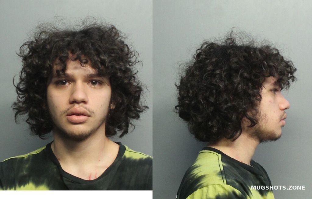REY KEVIN ALEXIS 01/28/2021 - Miami-Dade County Mugshots Zone