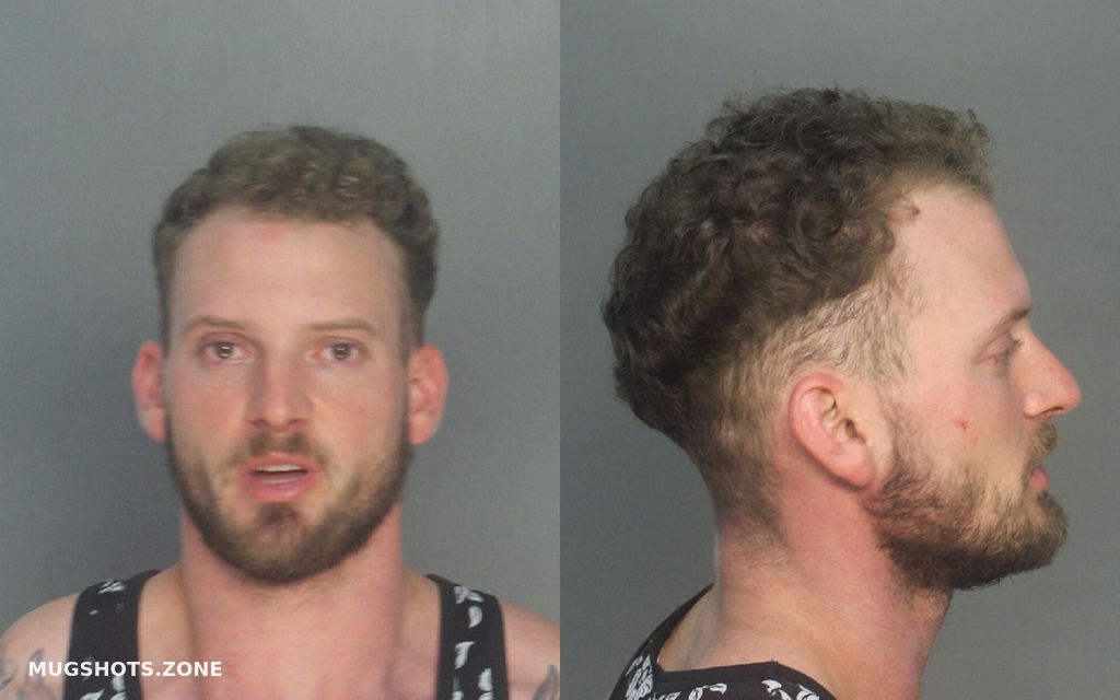 OPRISIU DUSTIN JOSEPH 02/10/2021 - Miami-Dade County Mugshots Zone