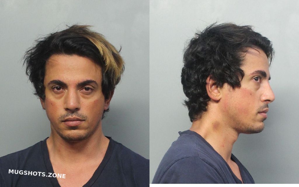 COSTA DENIAN ANTKIEWICZ 02/16/2021 - Miami-Dade County Mugshots Zone