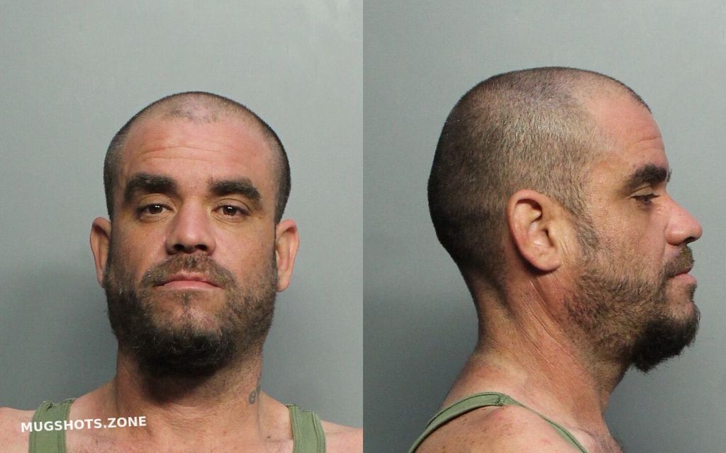 HERNANDEZ ALEX 02/17/2021 - Miami-Dade County Mugshots Zone