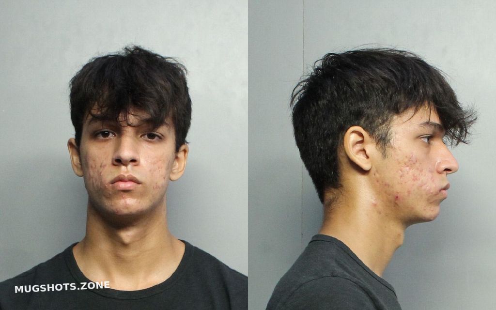 COSTA NICKOLA 02/18/2021 - Miami-Dade County Mugshots Zone