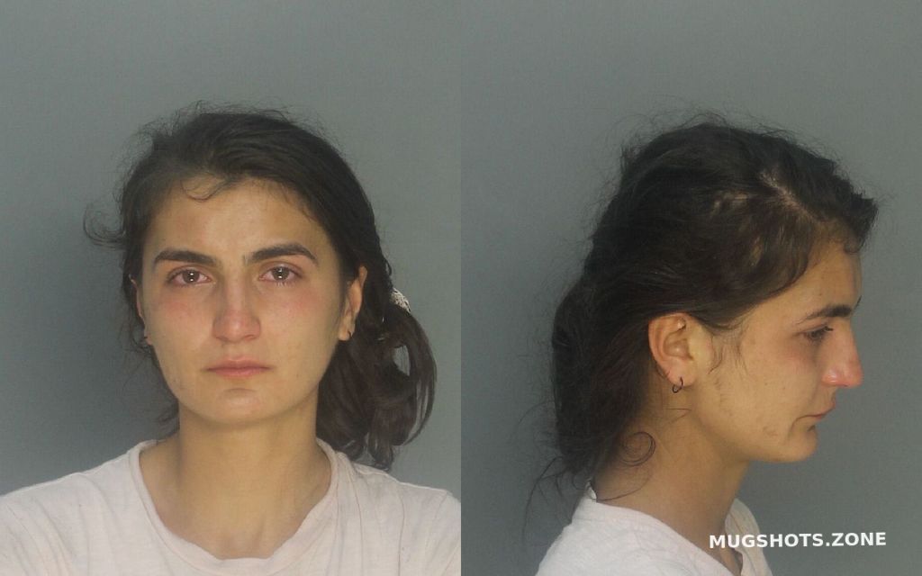 BUGARINOVIC ANA 02/19/2021 - Miami-Dade County Mugshots Zone