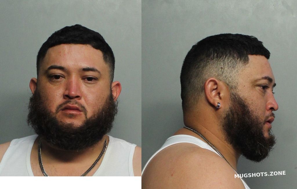 TURCIOS DANIEL E 03/13/2021 - Miami-Dade County Mugshots Zone
