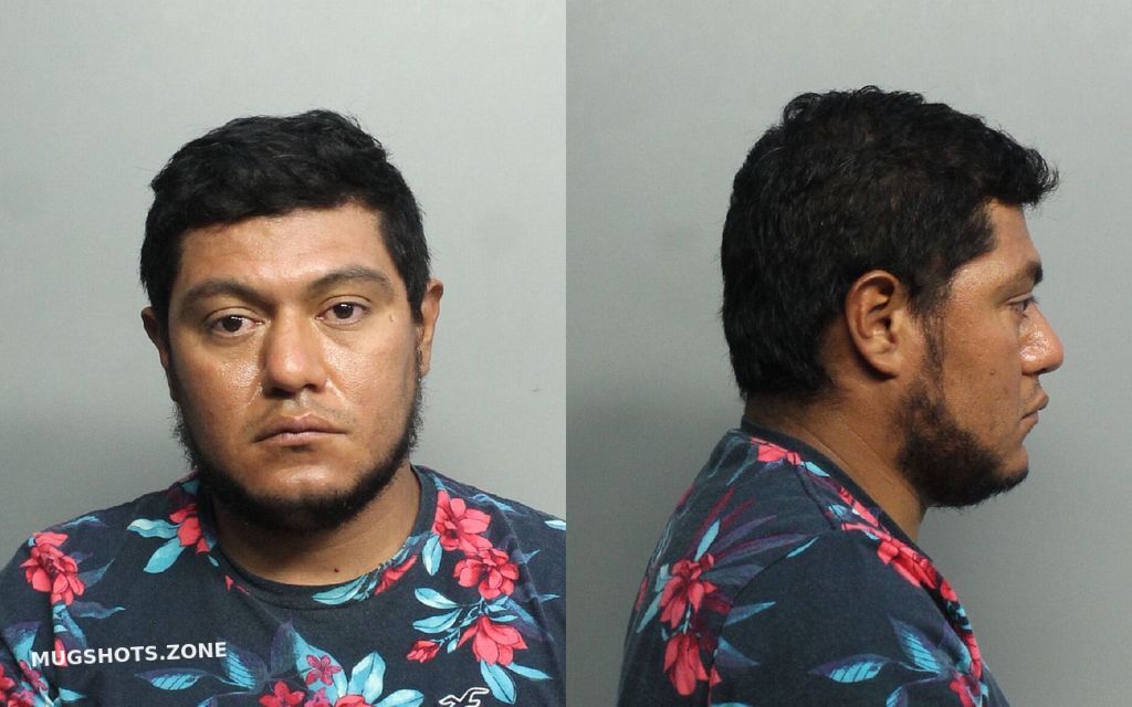 AROSTEGUI DENIS RAMON 03/16/2021 - Miami-Dade County Mugshots Zone