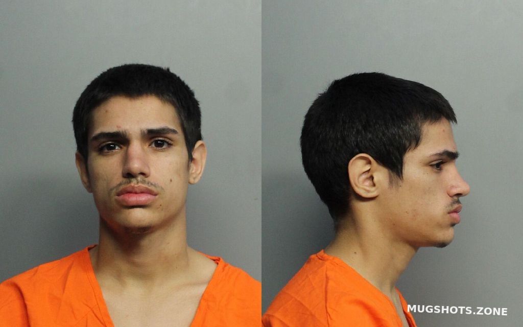 PITALUGA AYDEN 03/17/2021 - Miami-Dade County Mugshots Zone
