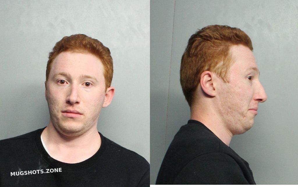 CHAN DANIEL PARK 03/30/2021 - Miami-Dade County Mugshots Zone