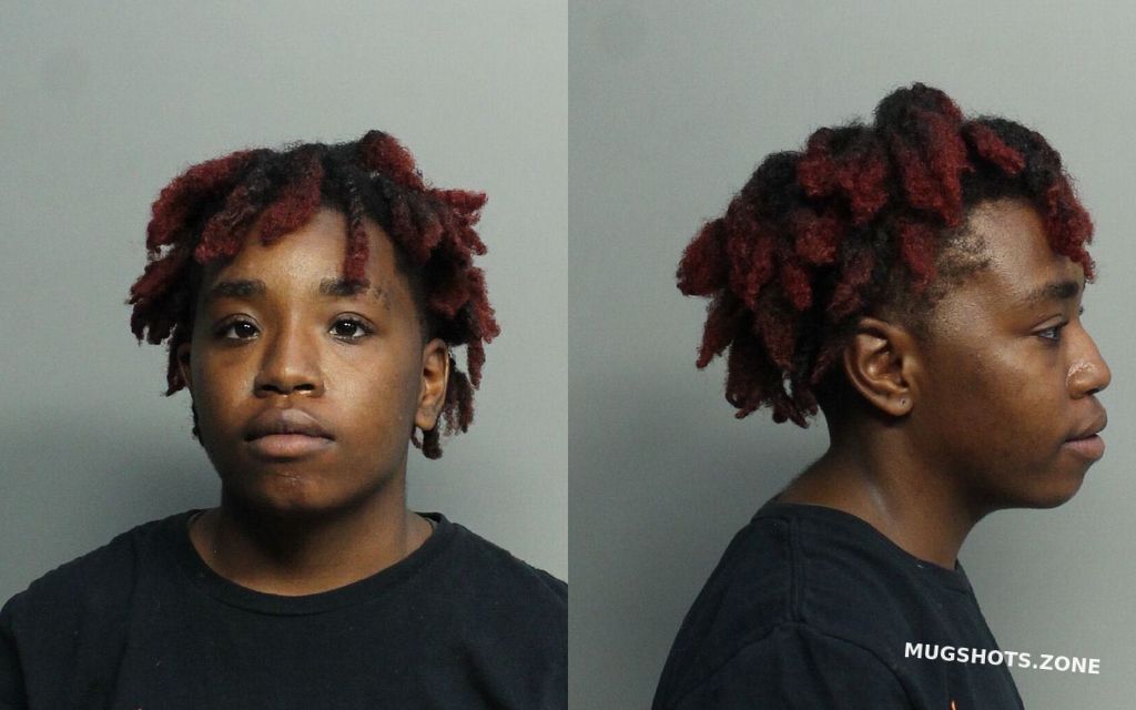ROLLINS CHANDELIA N 04/13/2021 - Miami-Dade County Mugshots Zone