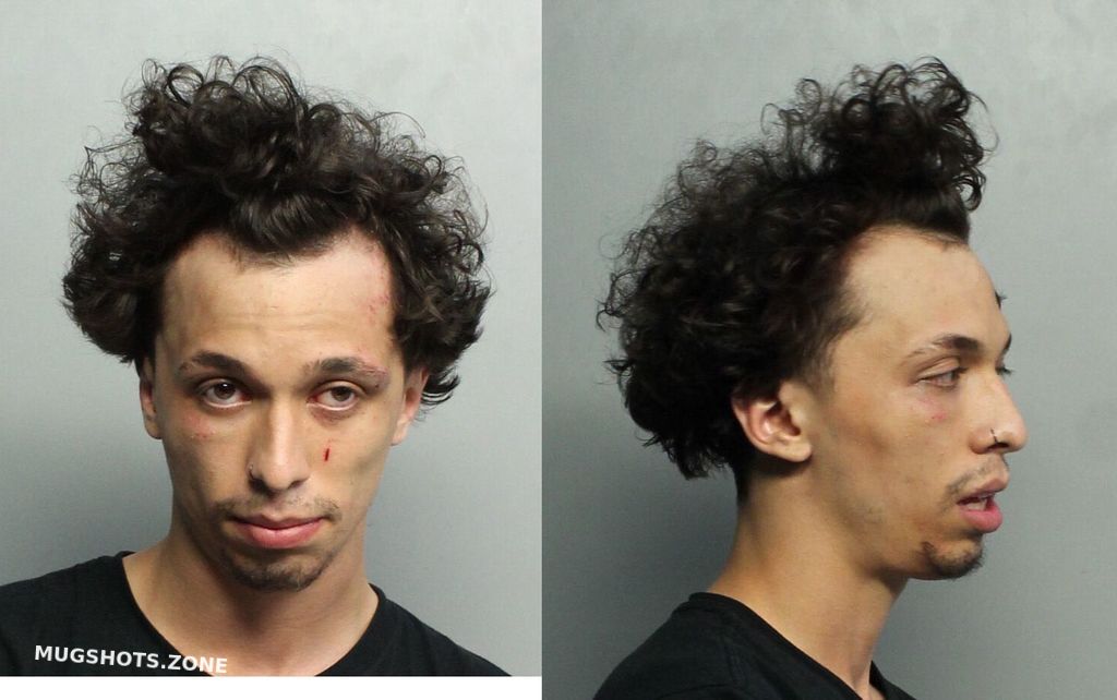 GONZALEZ CHRISTOPHER 04/15/2021 - Miami-Dade County Mugshots Zone