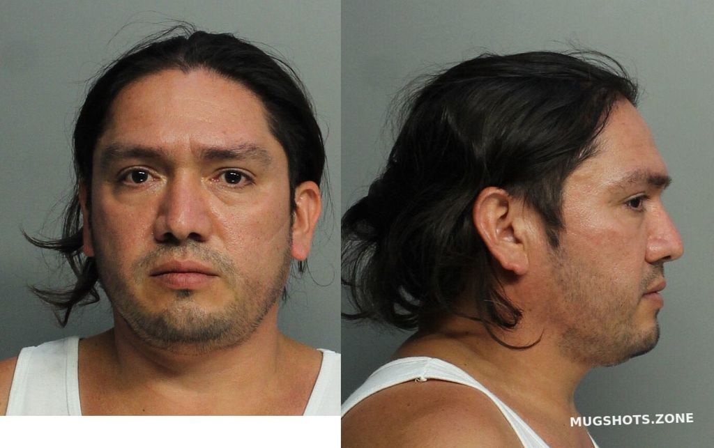 HERRERA LUIS DAVID 05/05/2021 - Miami-Dade County Mugshots Zone