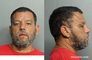 GONZALEZ DELVIS J 05/13/2021 - Miami-Dade County Mugshots Zone