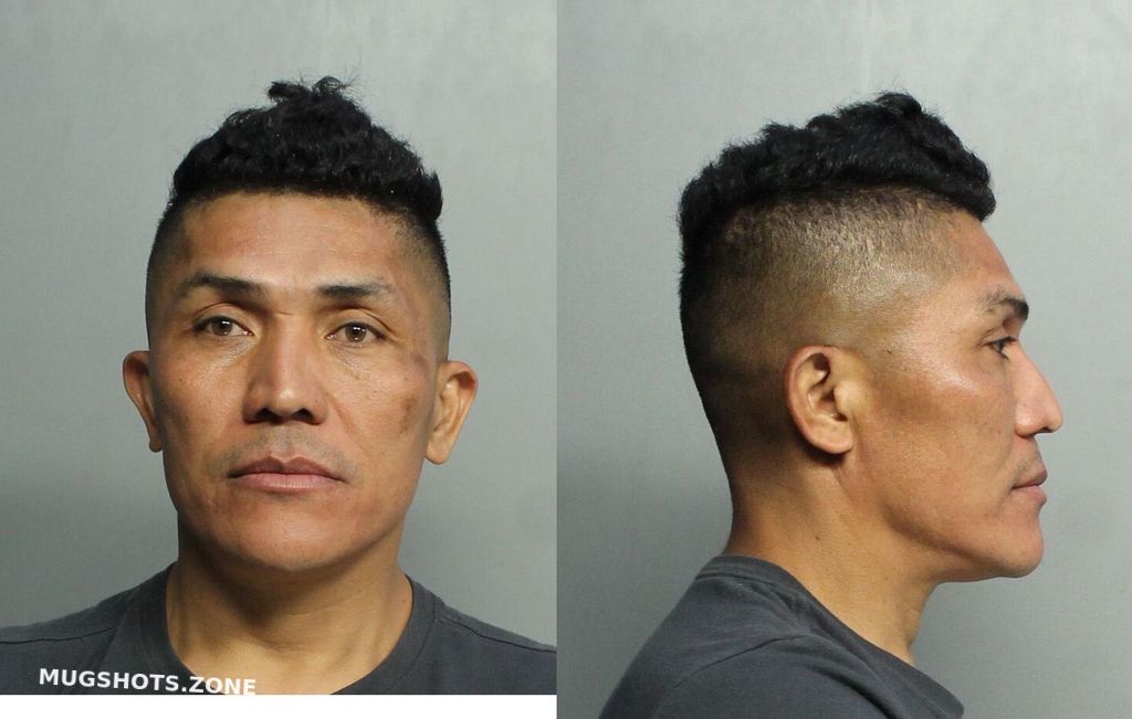 WILLISKAYN DALE RUDOLPH 05/17/2021 - Miami-Dade County Mugshots Zone