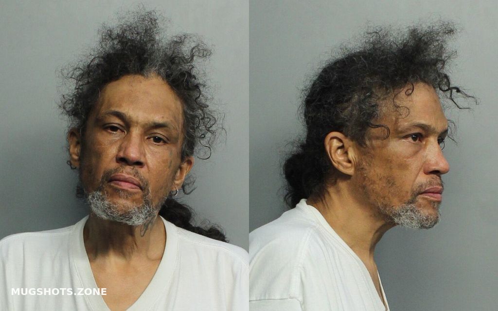 SCHELL ANTHONY 06/17/2021 - Miami-Dade County Mugshots Zone