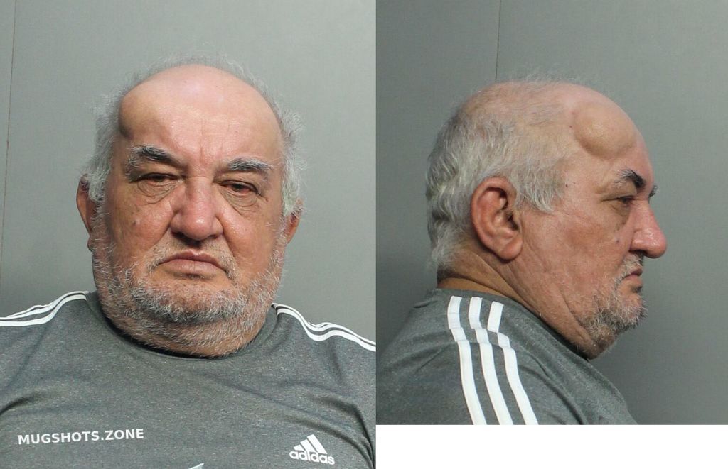 DIAZ OSMANY 06/21/2021 - Miami-Dade County Mugshots Zone