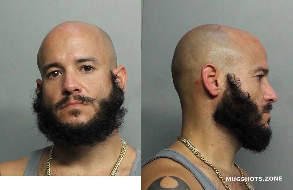 ARMEDA DAVID ALEXANDER 07/08/2021 - Miami-Dade County Mugshots Zone