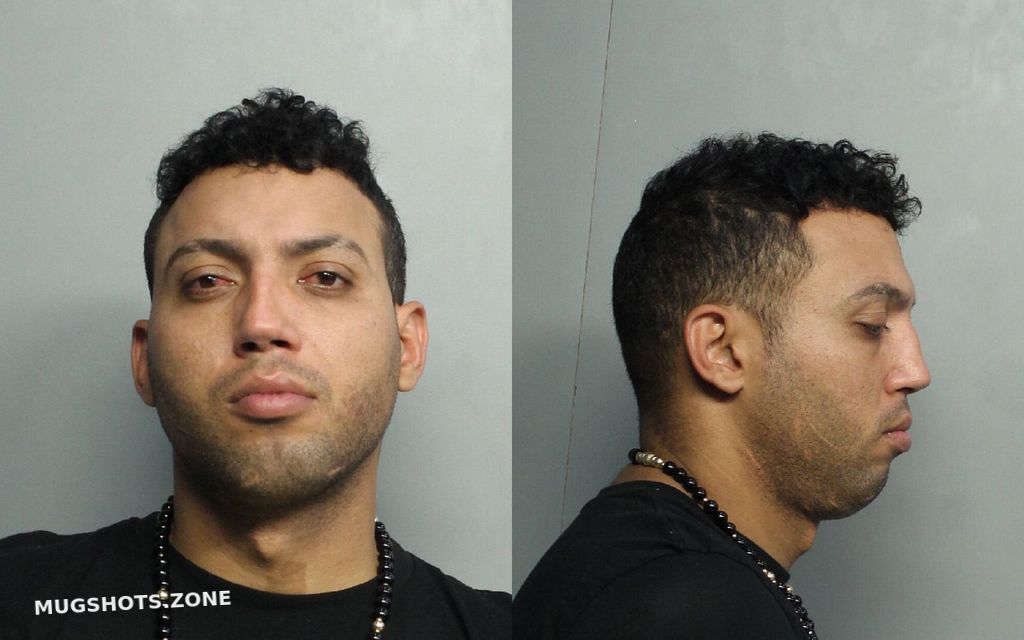 MAYO YOHAN 08/02/2021 - Miami-Dade County Mugshots Zone