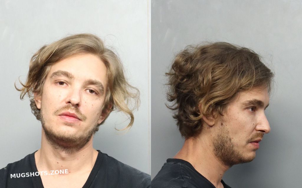 PALMIERI LOUIS JONATHAN 10/22/2021 - Miami-Dade County Mugshots Zone