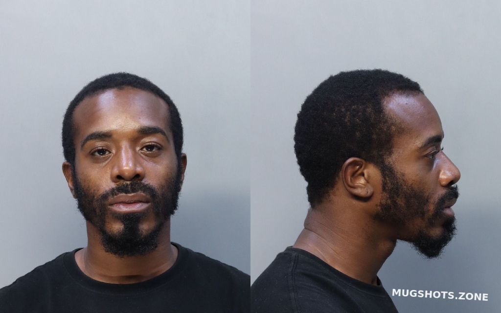LEVY DEVIN A 11/14/2021 - Miami-Dade County Mugshots Zone