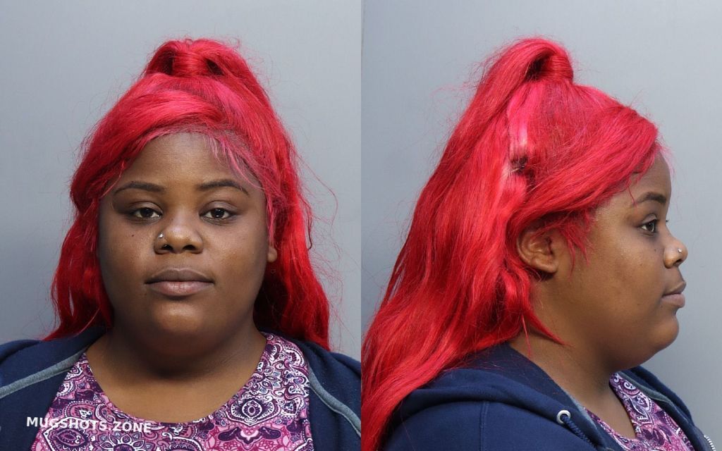 JOHNSON JAMIKA LASHON 11/23/2021 - Miami-Dade County Mugshots Zone