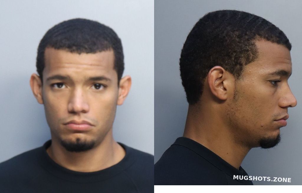 ALONSO JORGE LUIS 11/29/2021 - Miami-Dade County Mugshots Zone