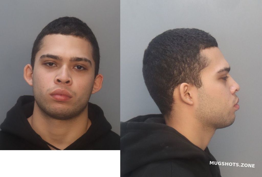 DELANEY CHRISTOPHER ALEXANDER 01/03/2022 - Miami-Dade County Mugshots Zone