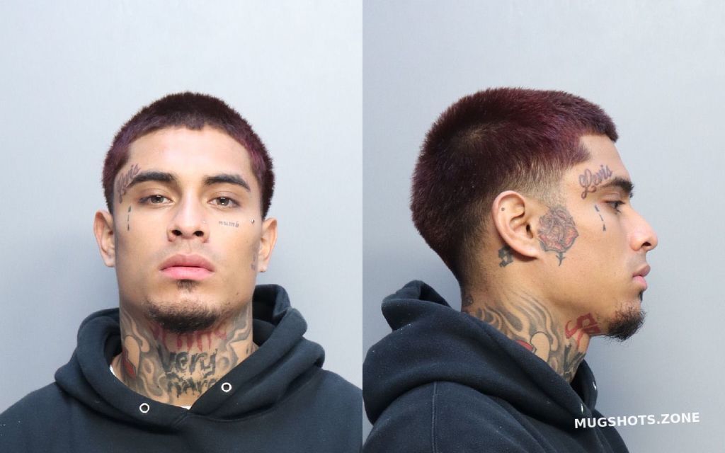 SABALLOS JEREMY RENE 01/06/2022 - Miami-Dade County Mugshots Zone