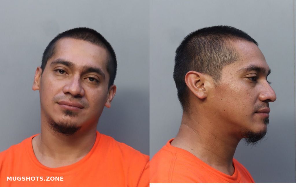 OBREGON NORLYN 01/11/2022 - Miami-Dade County Mugshots Zone