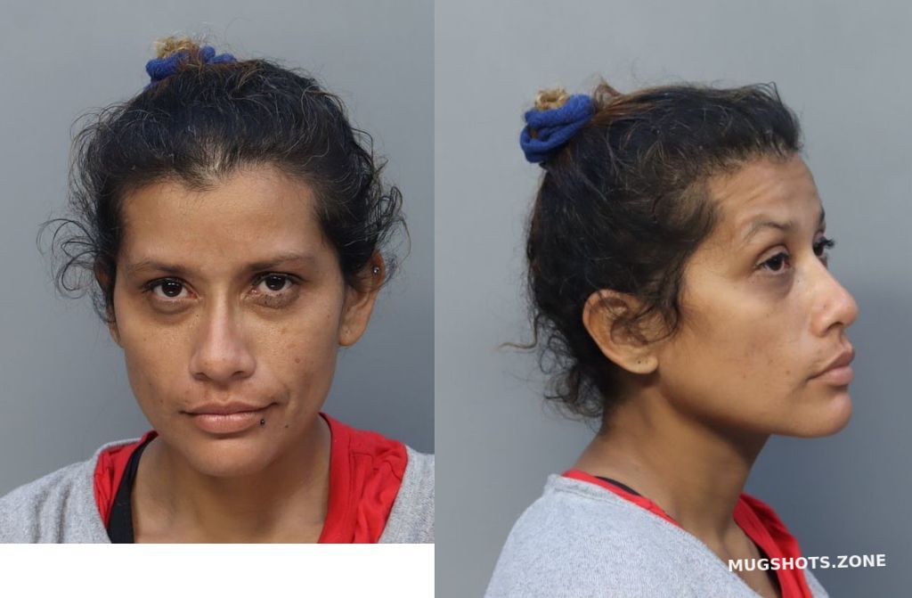 CALDERON HELEN JAZMIN 01/11/2022 - Miami-Dade County Mugshots Zone