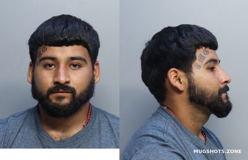 FLORES MARK ANTHONY 01/21/2022 - Miami-Dade County Mugshots Zone