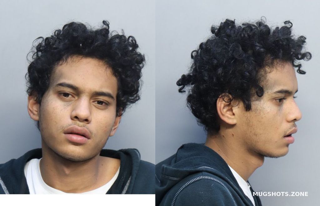 SALGADO CHRISTOPHER 02/02/2022 - Miami-Dade County Mugshots Zone