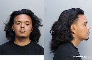 GIL STEVEN 02/16/2022 - Miami-Dade County Mugshots Zone