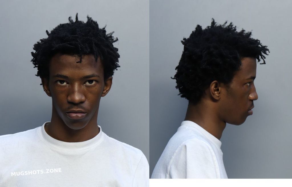 MCMINNS LEONARD 02/17/2022 - Miami-Dade County Mugshots Zone