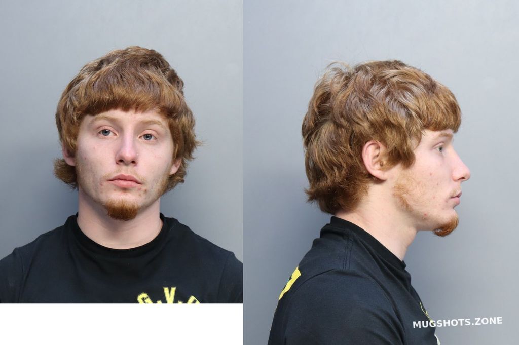 HAMILTON DUSTIN 02/20/2022 - Miami-Dade County Mugshots Zone