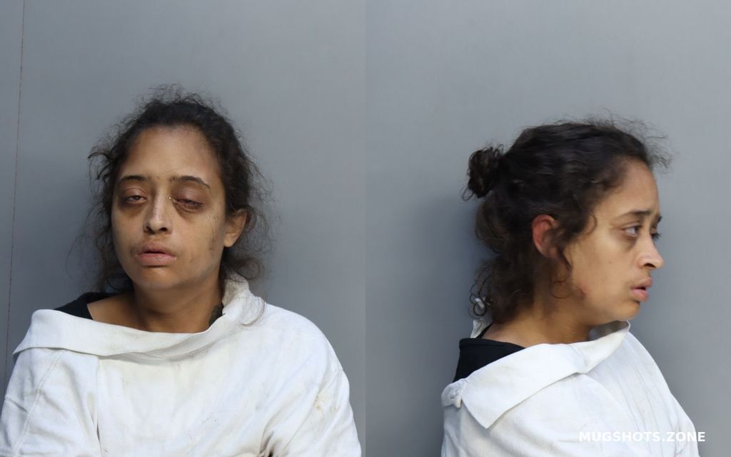 CASTRO EMILIA ANNE 02/25/2022 - Miami-Dade County Mugshots Zone