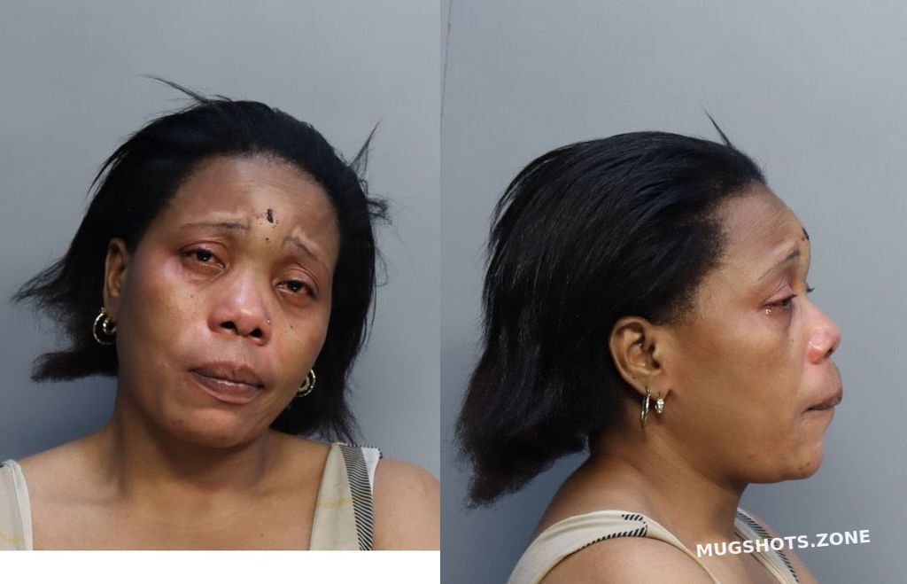 PIERRE MIRLENE 02/26/2022 - Miami-Dade County Mugshots Zone