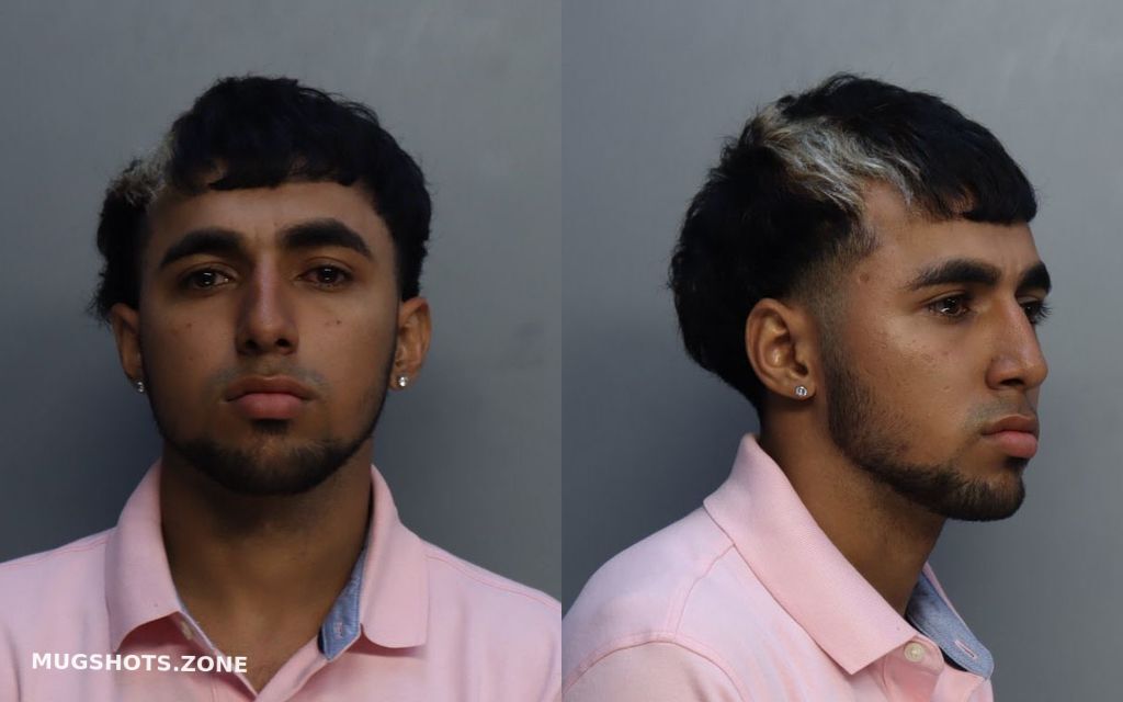 RAMOSHERNANDEZ CESAR DANIEL 03/12/2022 - Miami-Dade County Mugshots Zone