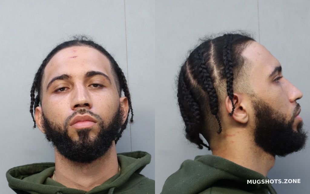 SCHOLL JARED 03/19/2022 - Miami-Dade County Mugshots Zone