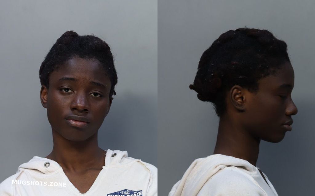PIERRE JENNY FAIRE 03/24/2022 - Miami-Dade County Mugshots Zone